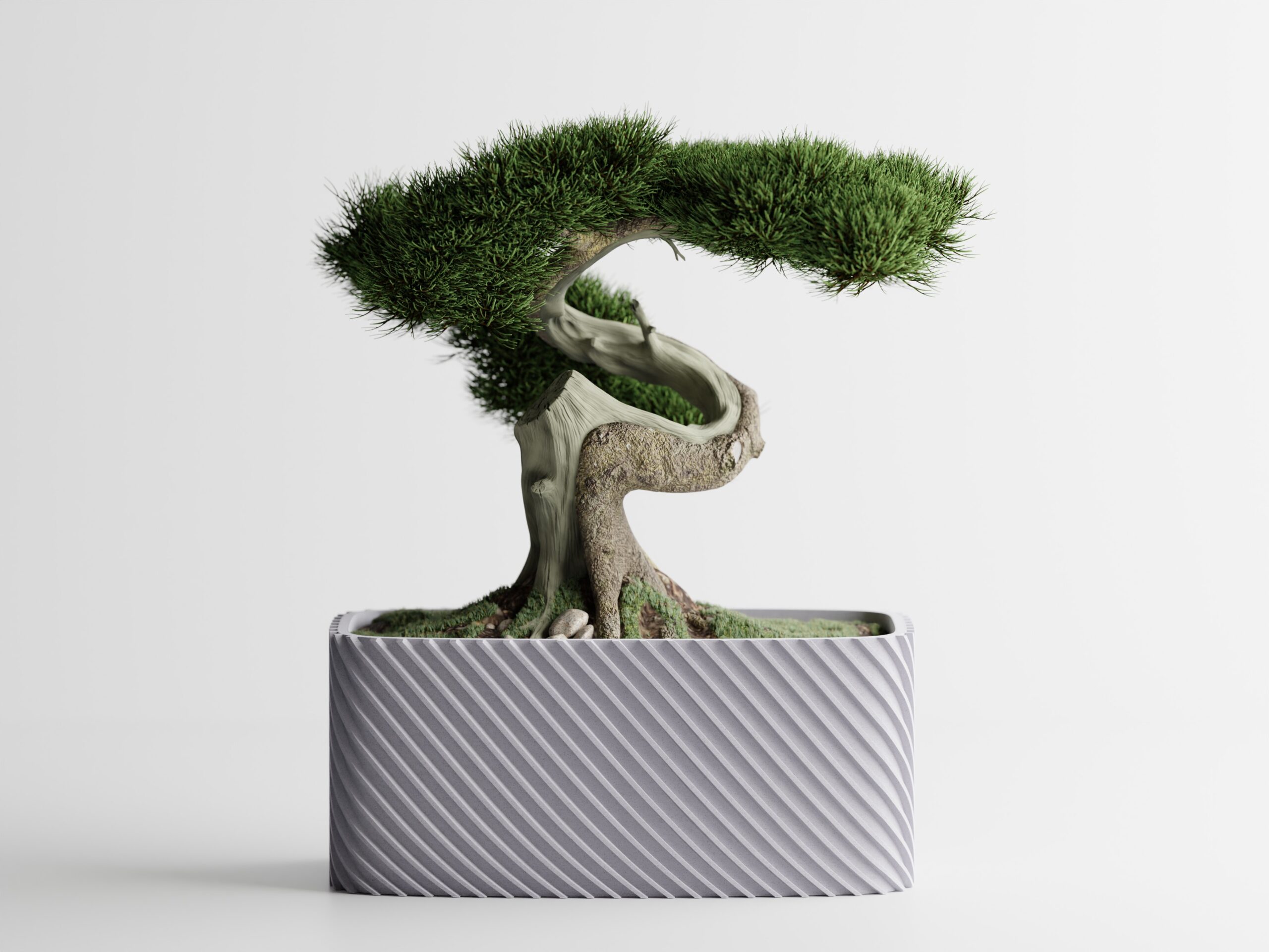 Plant Pot Fine Rib Rounded Rectangle Low - Fornoni Design